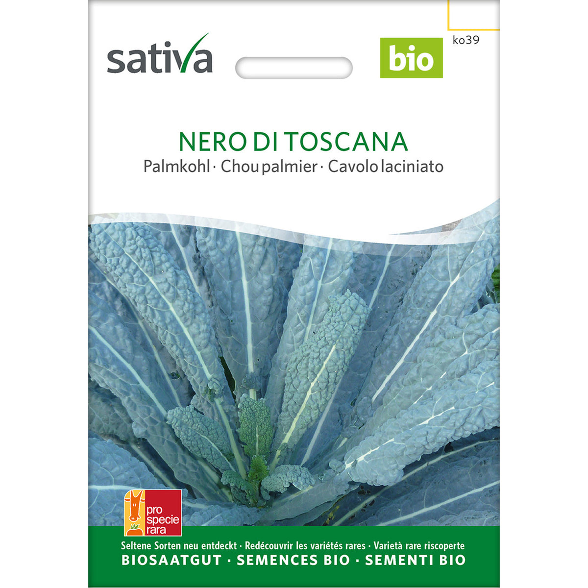 Nero di Toscana – Palmkohl mit dekorativem Wuchs | mrs.tillyseeds